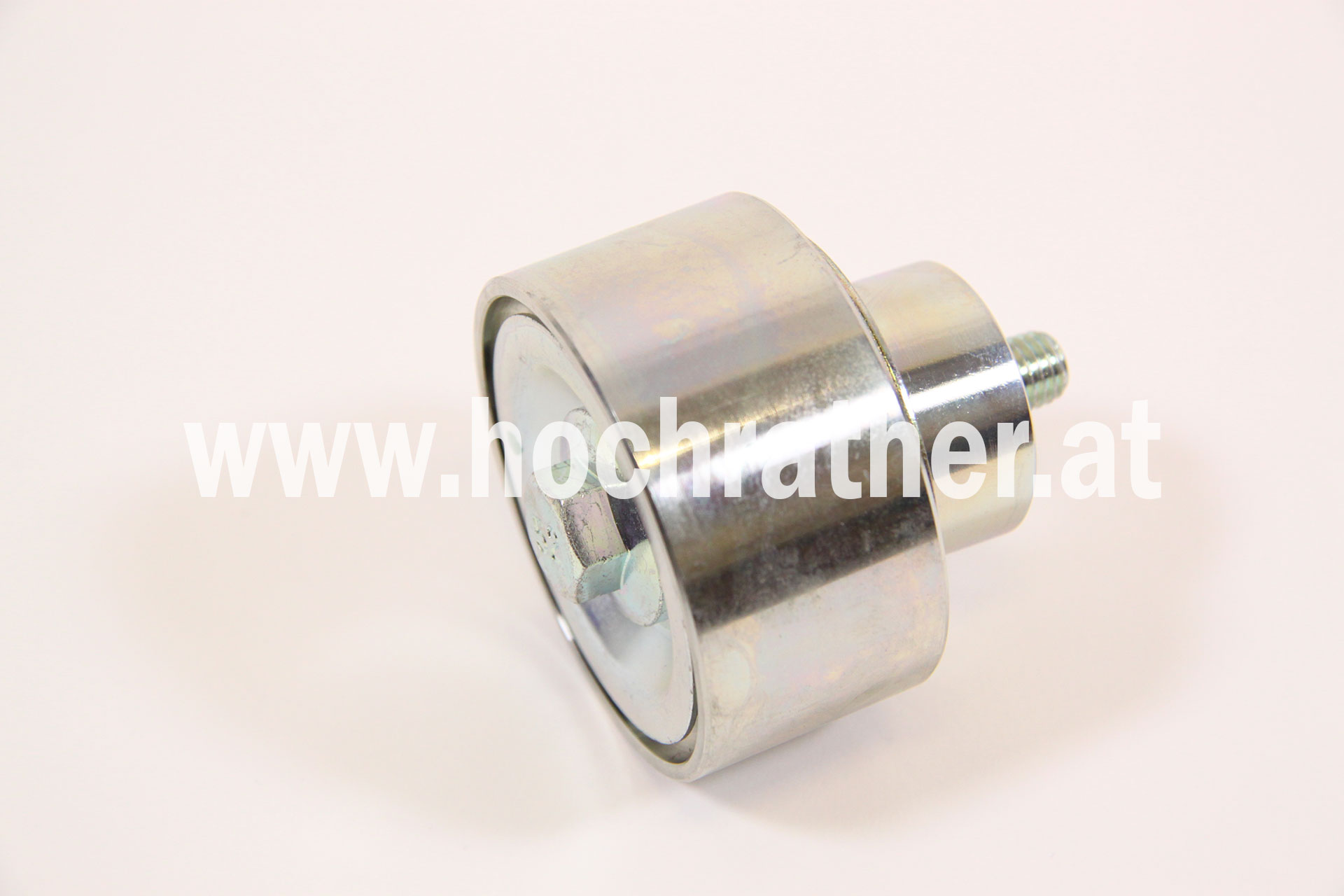 Umlenkrolle (504065879) Case kaufen | Hochrather Landtechnik